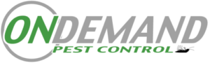 How to Get Rid of Earwigs (Pincher Bugs) | On Demand Pest Control